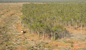 WORLD RURAL LANDSCAPE PRINCIPLES: Threats, challenges, benefits, and ...