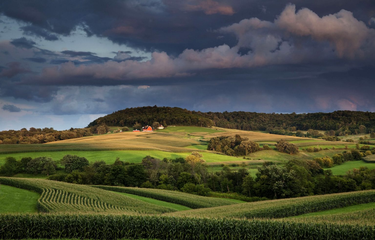 The Impact of the Pandemic on Agricultural Landscapes | Living ...